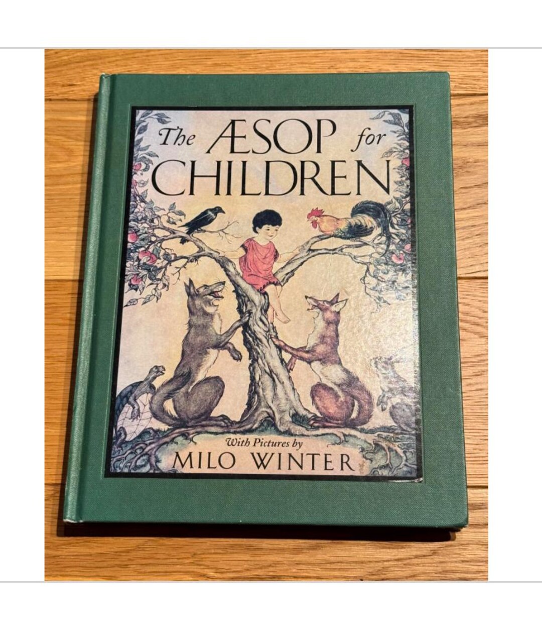 Vintage Children’s Book the Aesop for Children Hardcover Picture Book ...