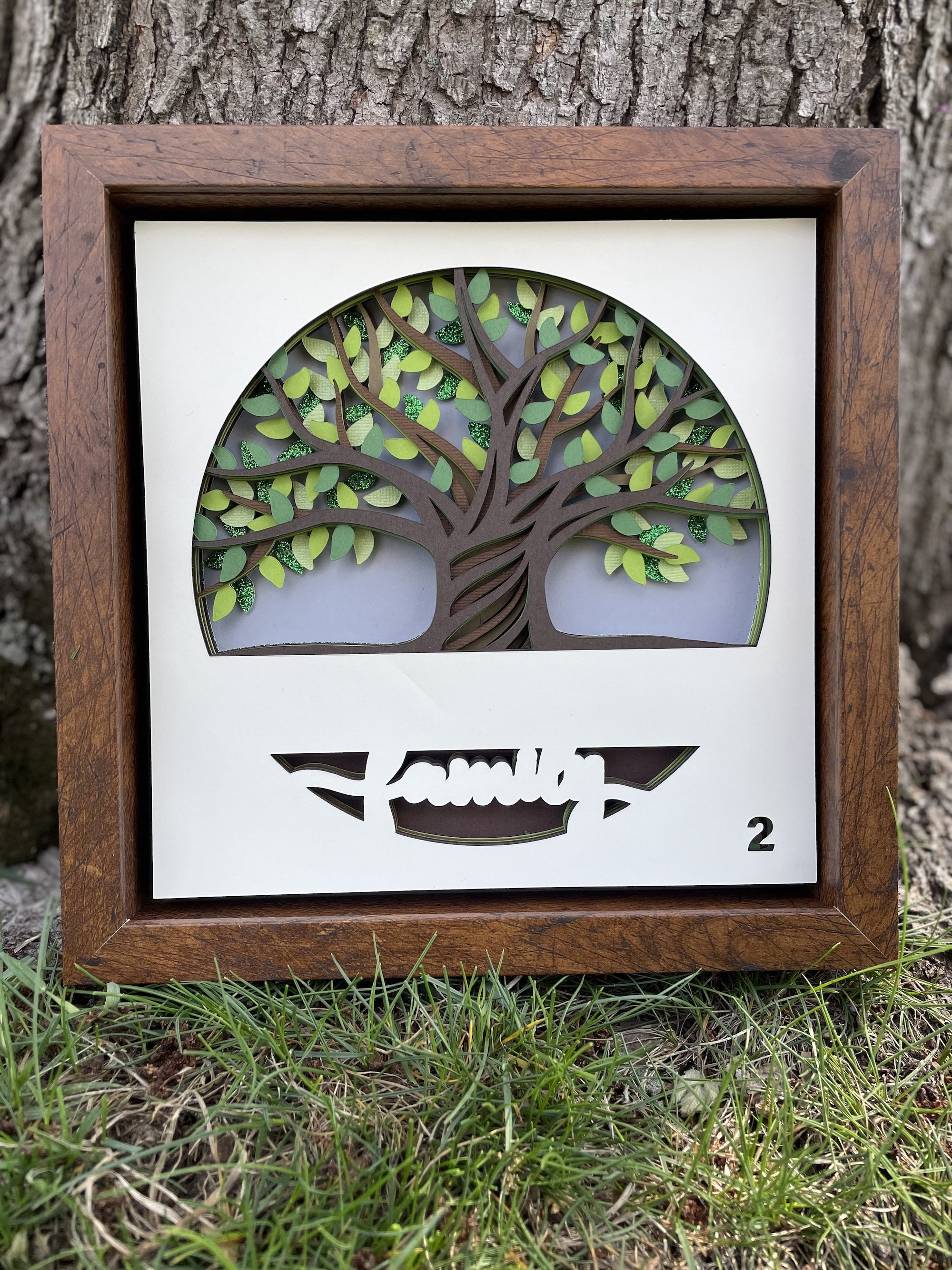 9"x 9" 3D Family Tree Shadow Box/picture - Etsy