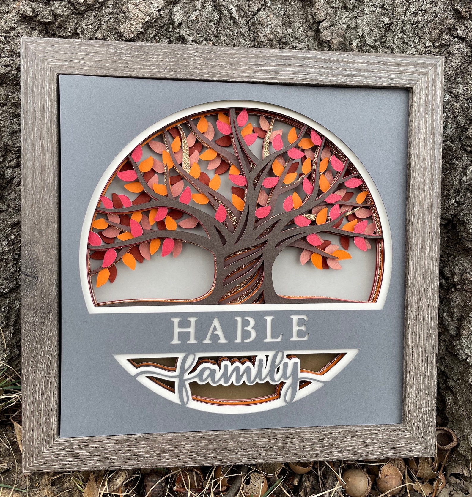 9"x 9" 3D Family Tree Shadow Box/picture - Etsy