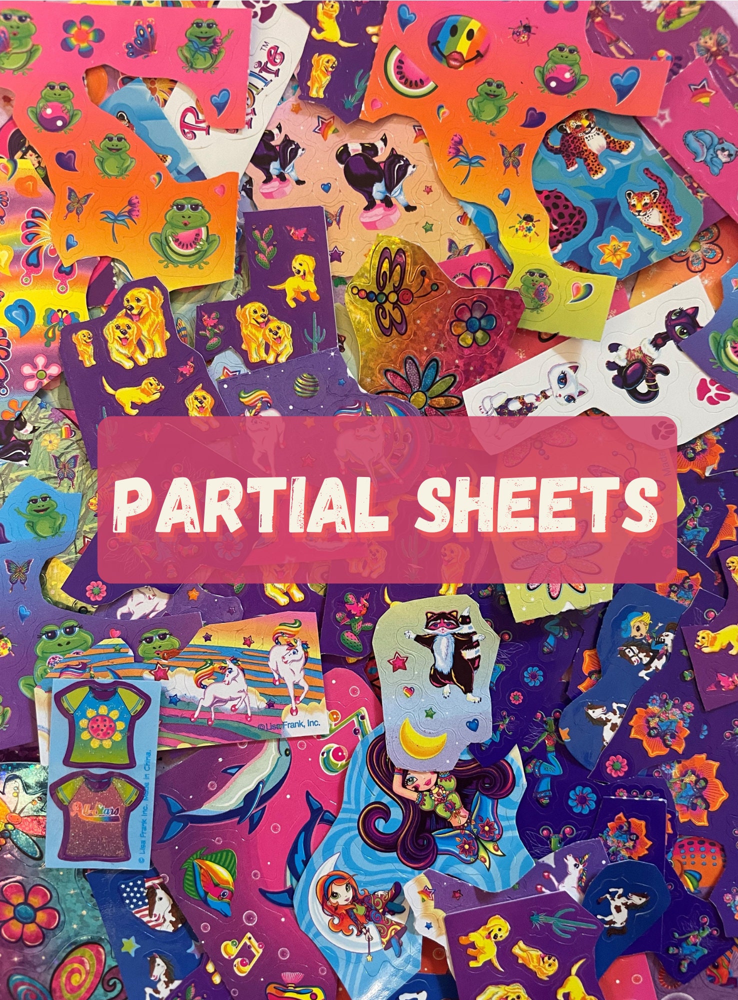 Lisa Frank Mystery Box Surprise Bag '90s Y2K - Etsy