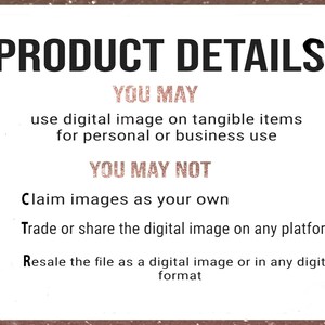 Masonic Skull With Playing Cards Bundle , Freemason Png, Fraternity Png ...