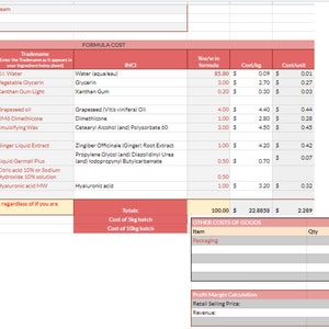 Formula Creation and Costing Template for Cosmetics - Etsy