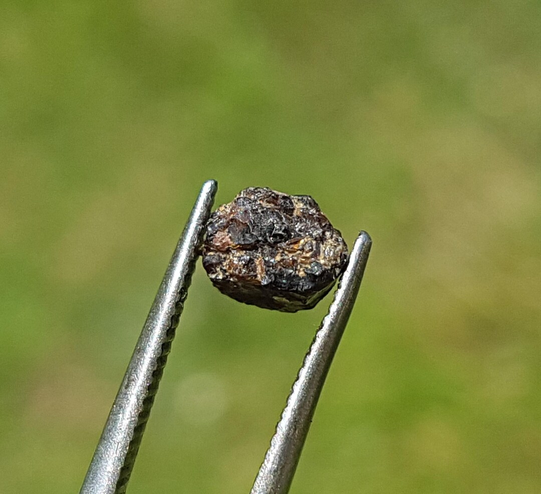 Genuine Raw Painite From Burma 1.50 Ct Mineral Rare Minerals Brown ...