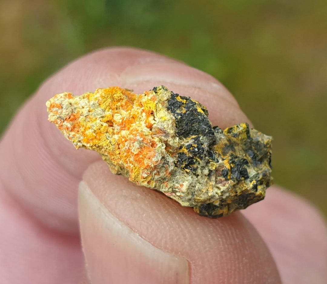 Curite With Rutherfordine and Fourmarierite From the Shinkolobwe Mine ...