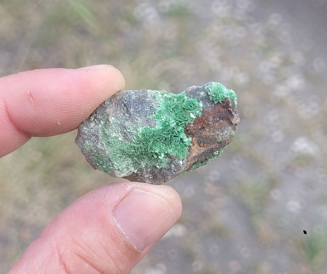 Torbernite Le Limouzat Black Woods France Very Rare Minerals Mineral ...
