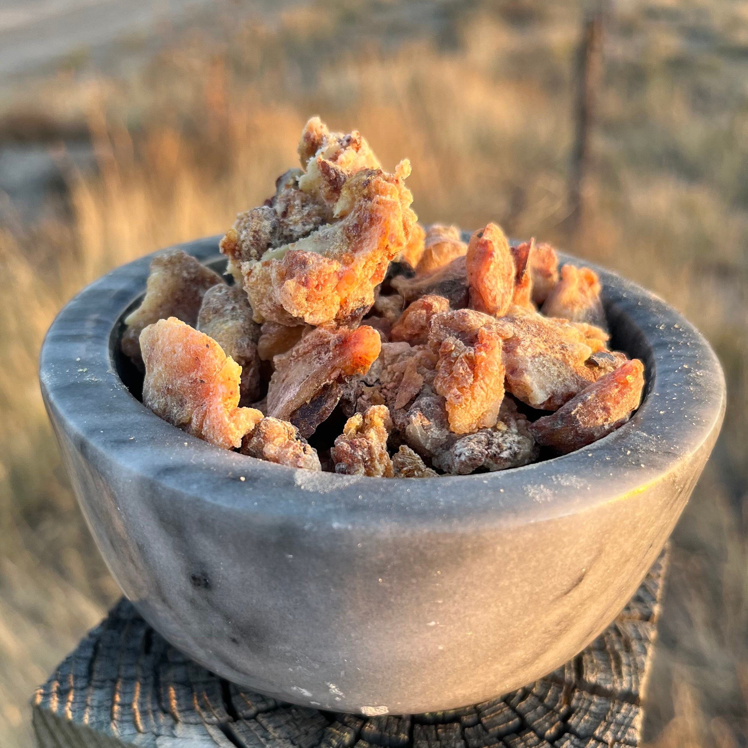 Raw Natural Piñon (pinion, Pinyon) Pine Resin - Etsy