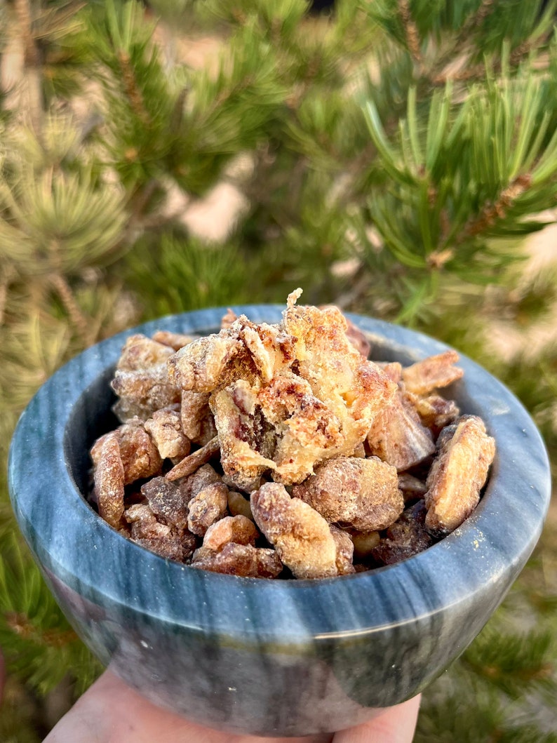 Raw Natural Piñon (pinion, Pinyon) Pine Resin - Etsy