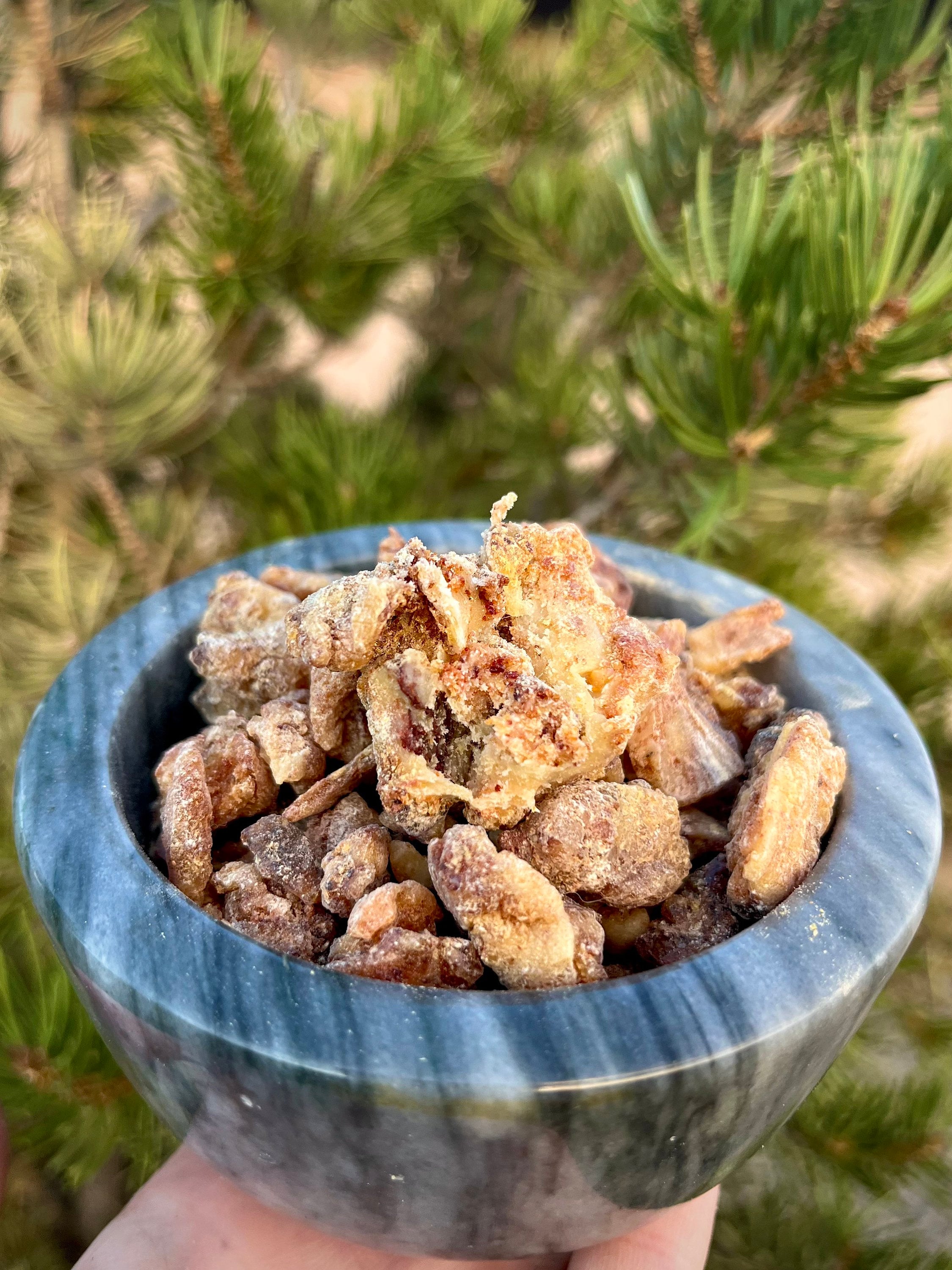 Raw Natural Piñon (pinion, Pinyon) Pine Resin - Etsy