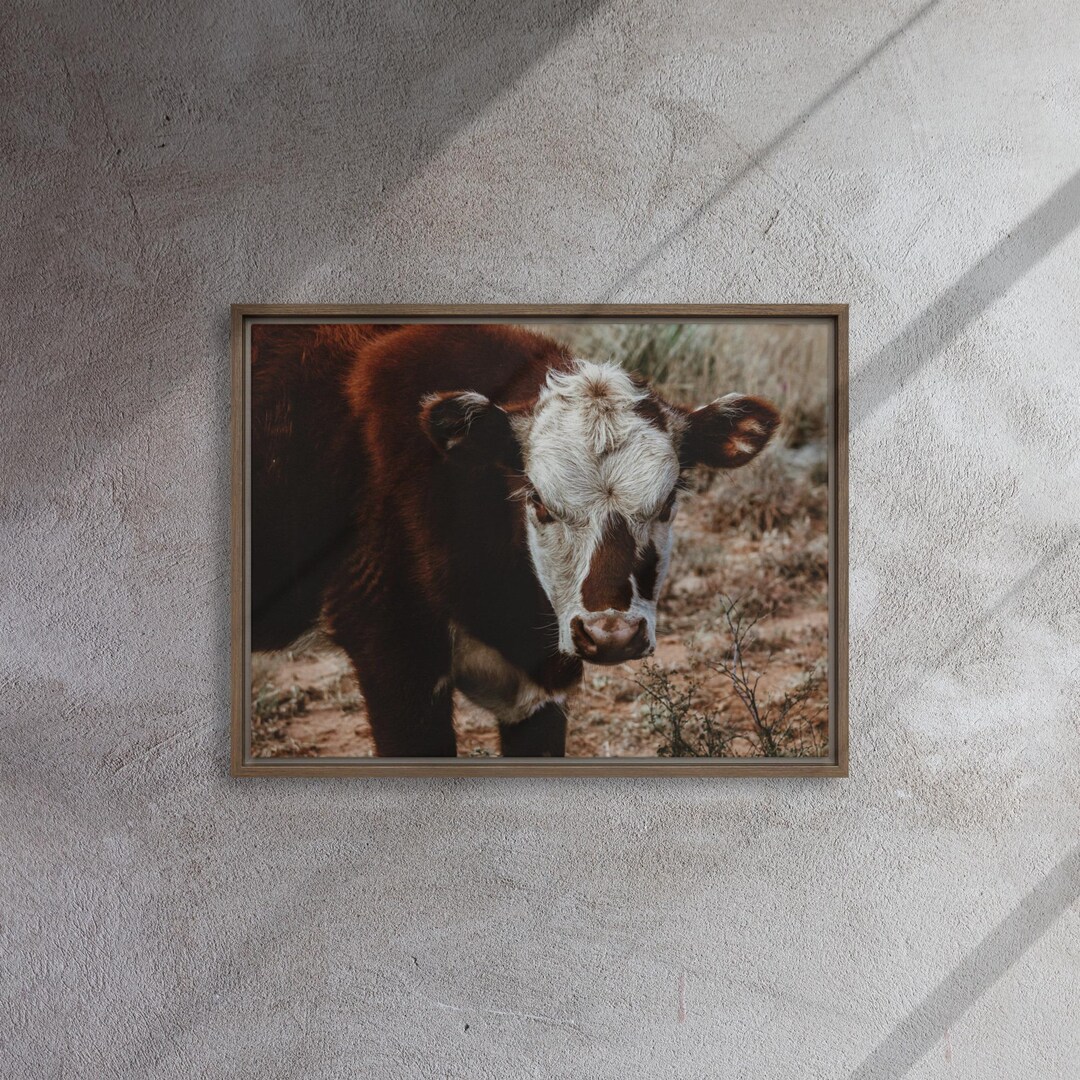 Rustic White Face Cow Wall Art – Framed Farm Animal Photo, Speckled Cow ...