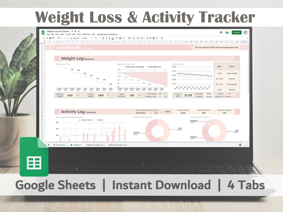Weight Loss & Activity Tracker Spreadsheet Google Sheets - Etsy
