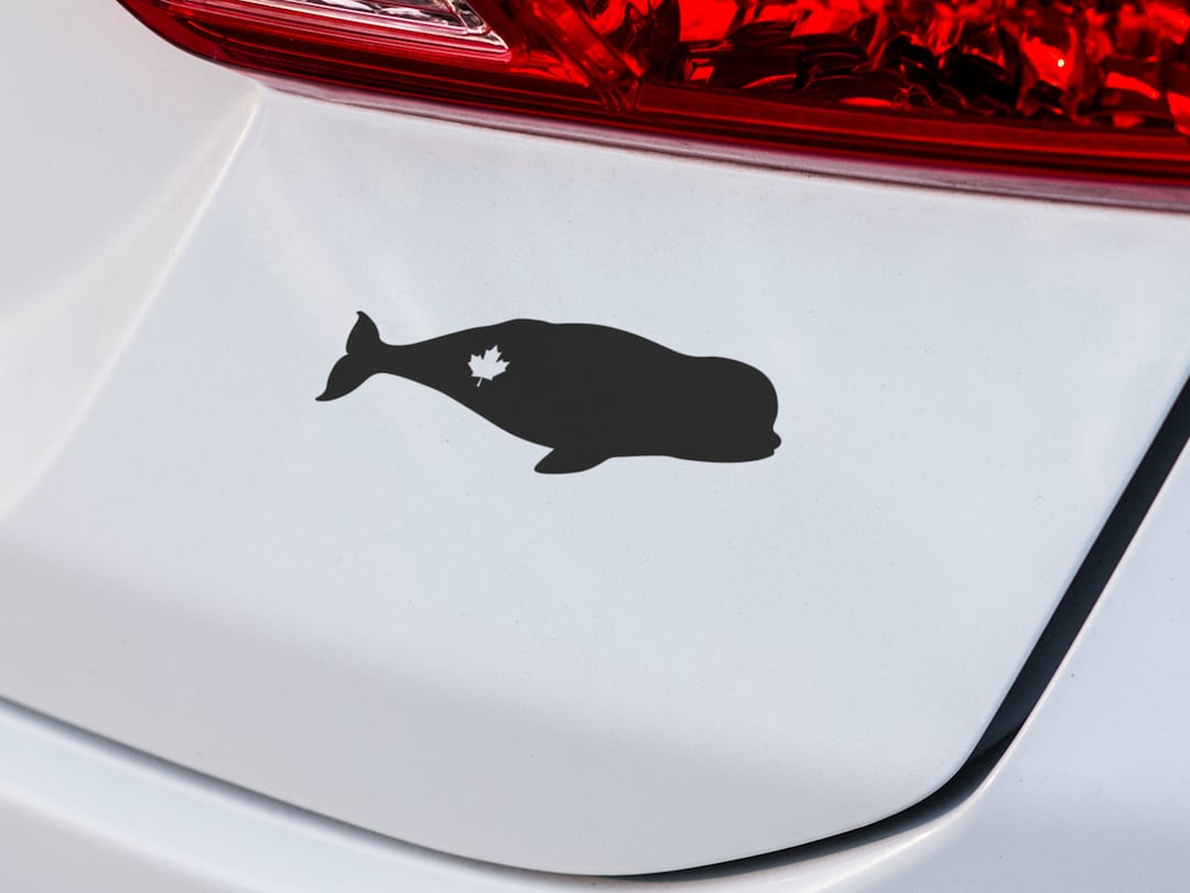 Beluga Whale Maple Leaf Decal VINYL DECAL Beluga Decal Whale Decal ...