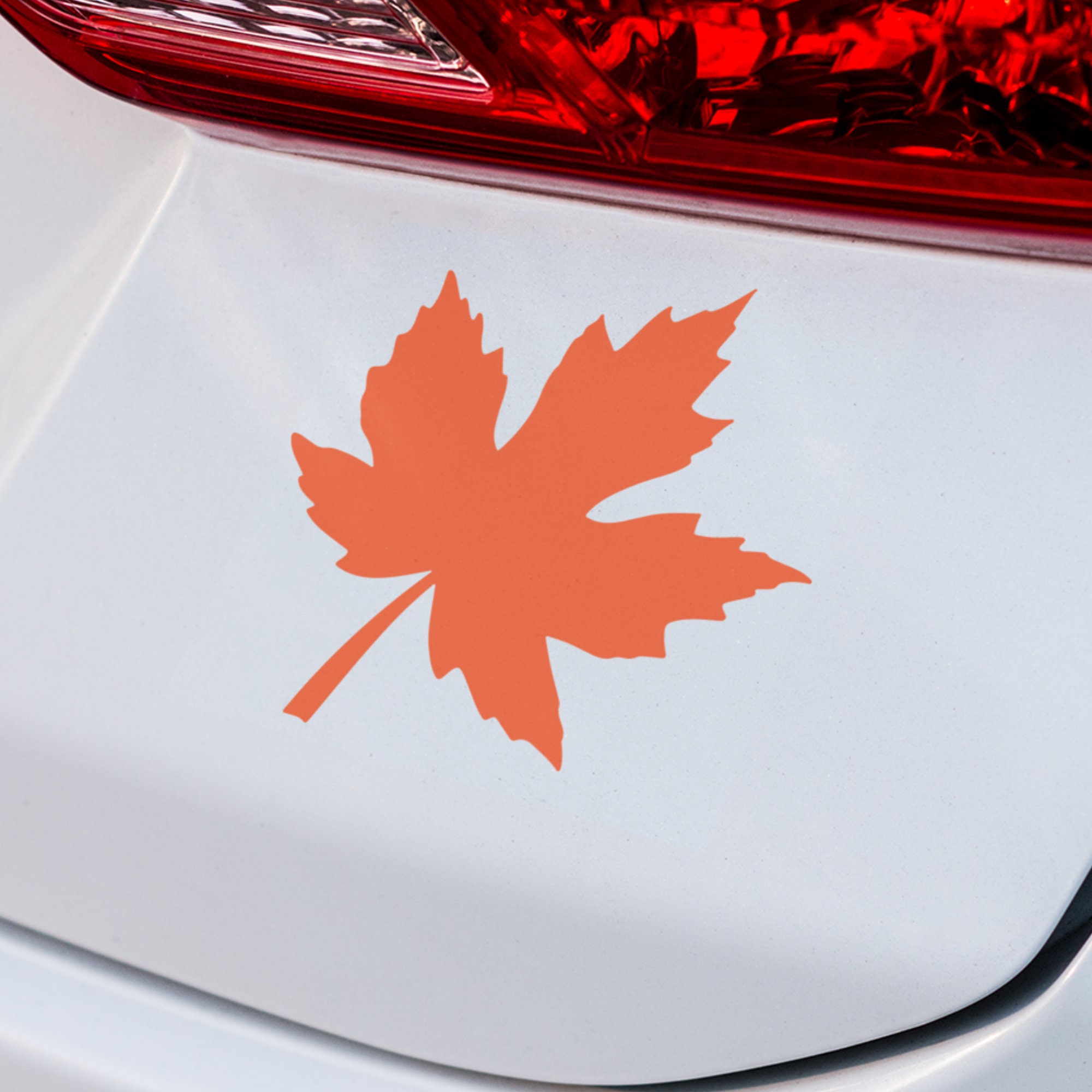 Maple Leaf real Decal VINYL DECAL Car Decal Maple Leaf Decal Canada ...