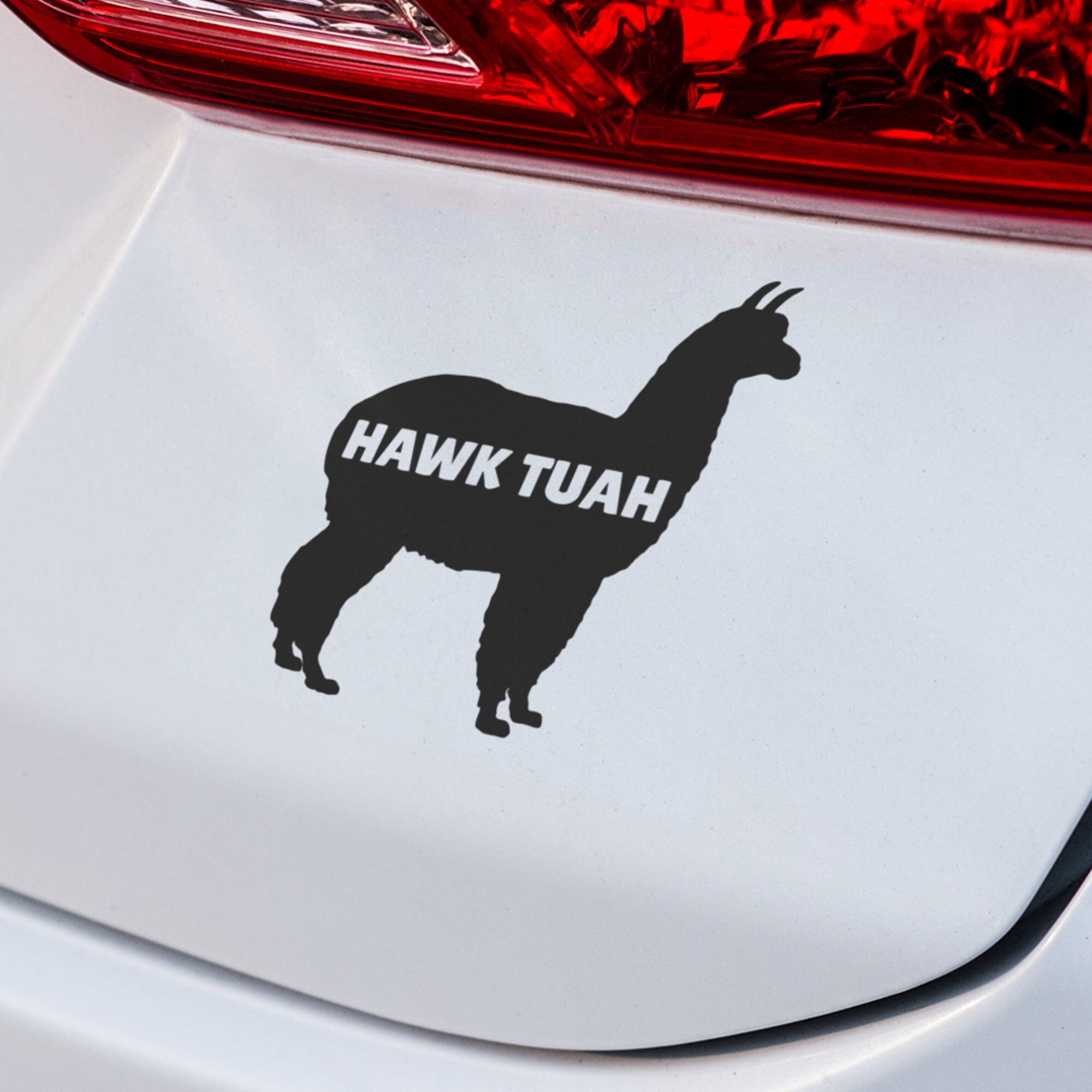 Hawk Tuah alpaca Decal VINYL DECAL Hawk Tuah Decal Funny Fun Decal Car ...