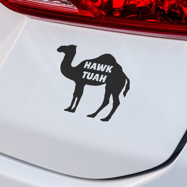 Hawk Tuah Decal - Etsy