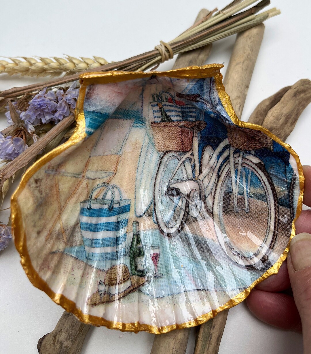 Scallop Shell Decoration Soap Holder Escape on a Bicycle. - Etsy