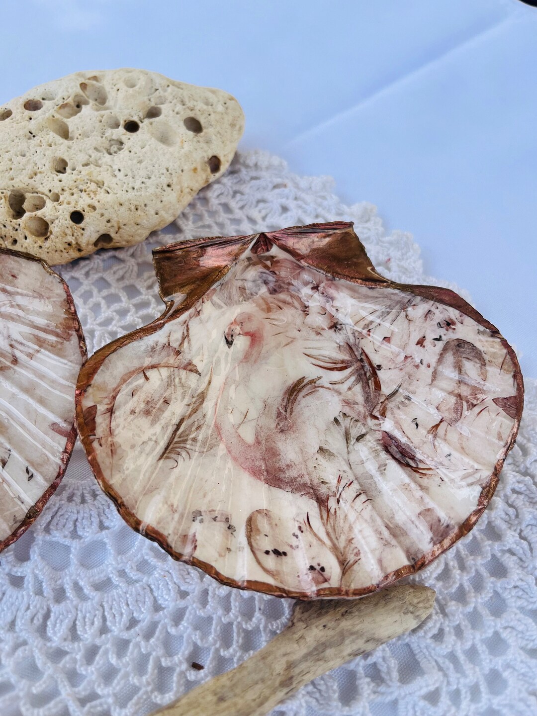 Scallop Shell Pink Flamingo Tenderness - Etsy