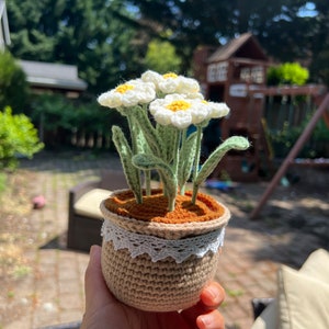 Crochet Daisy Pot, Special Home Decor Gift,handmade Potted Plant, Car ...
