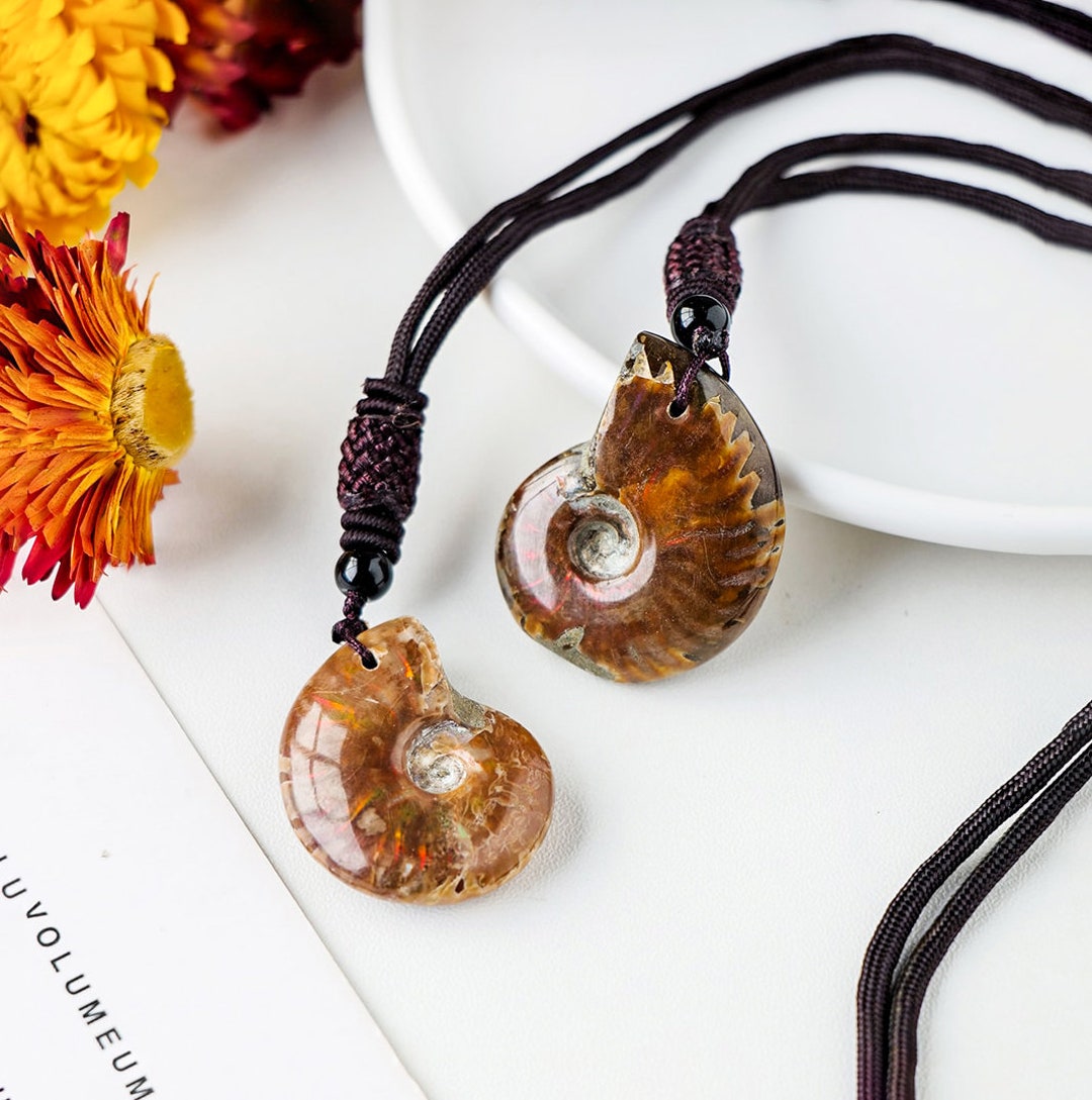 Ammonite Fossil Shell Necklace, Real Ammonite Pendant, Sea Snail Conch ...