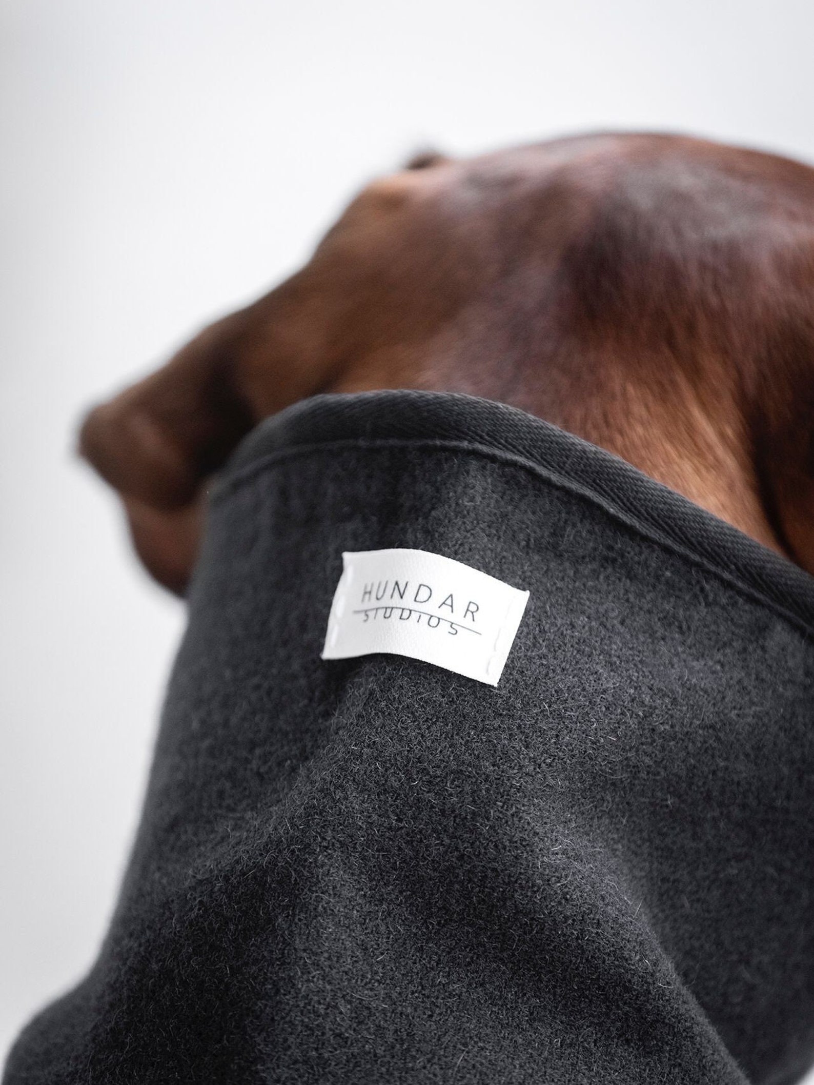 Dog Coat Made From Sustainable Wool - Etsy