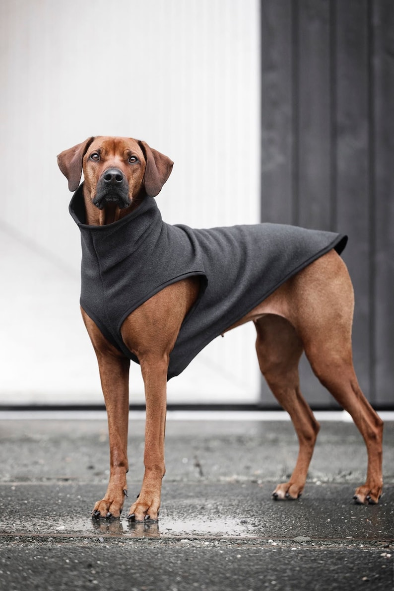 Dog Coat Made From Sustainable Wool - Etsy