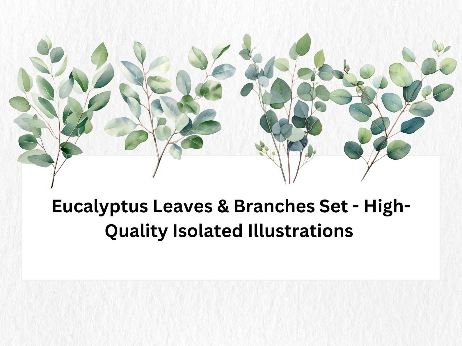 Premium Digital Download: Eucalyptus Leaves & Branches Set High-quality ...
