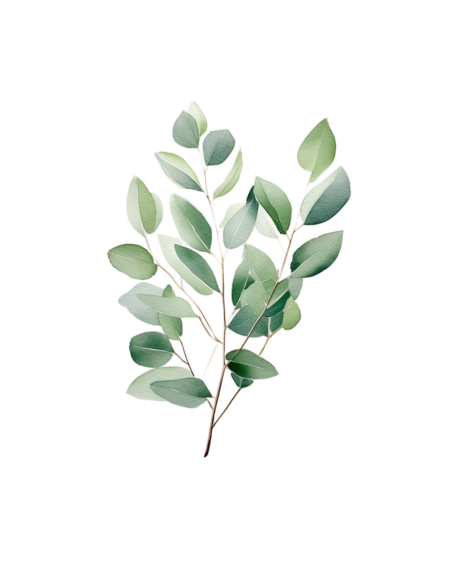 Premium Digital Download: Eucalyptus Leaves & Branches Set High-quality ...