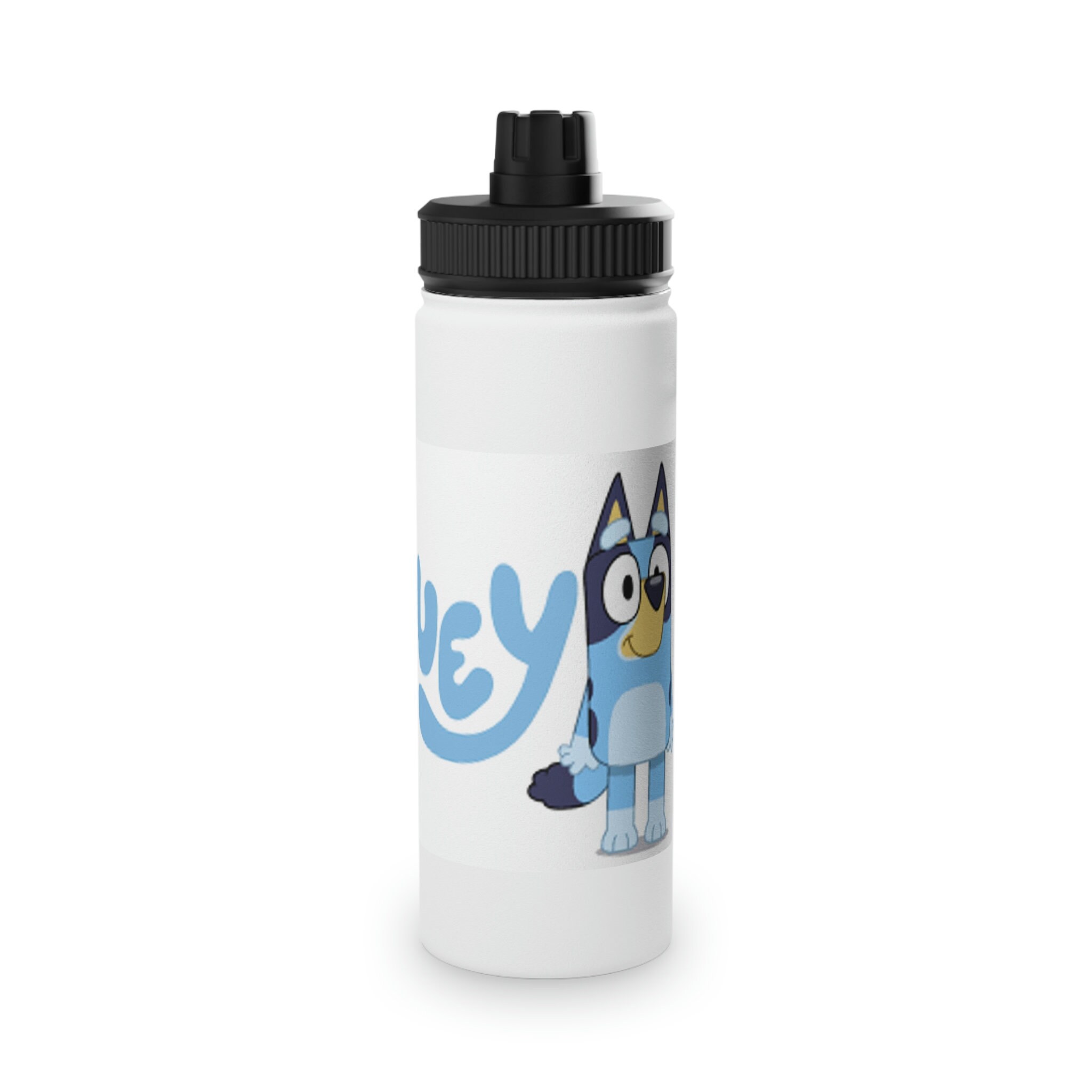 Bluey and Bingo Stainless Steel Water Bottle, Sports Lid - Etsy