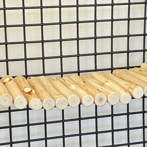 Wooden Bridge for Hamsters From Natural Wood Hanging Bridge Rodent Cage ...