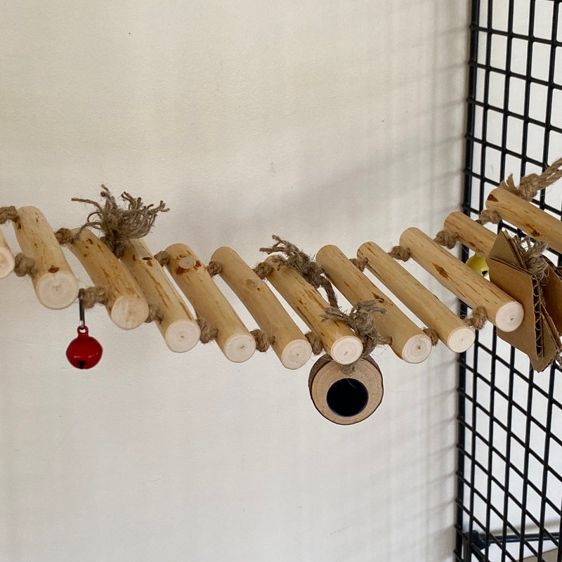 Bird Ladders for Cages - Etsy