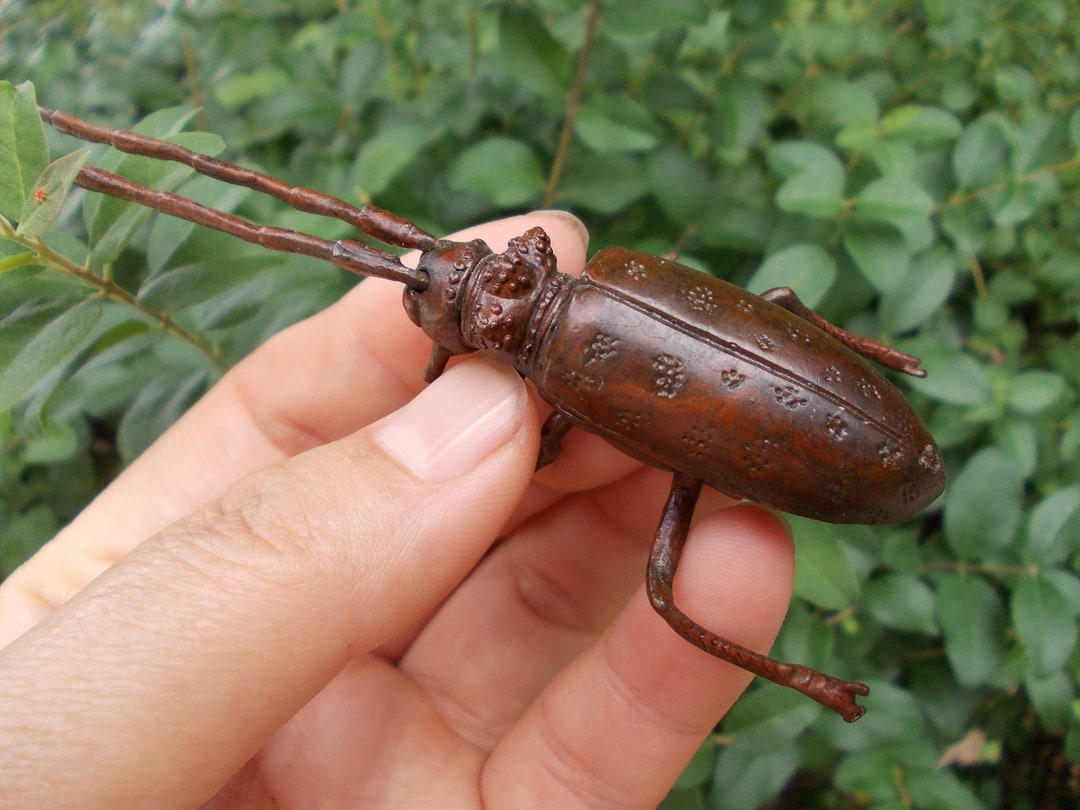 Vtgbrasslover Vtg Vintage Style Solid Copper Beetle Statues Ornaments ...