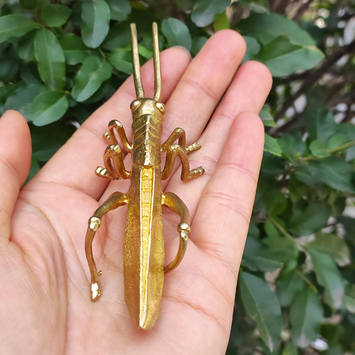 Get 1 Vtg Vintage Style Brass Golden Lucky Locust Statue Locust Fortune ...