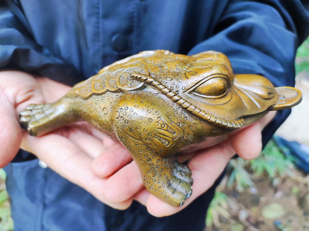 Wealth Golden Frog Toad Coin Fortune, Frog Feng Shui Toad Lucky ...