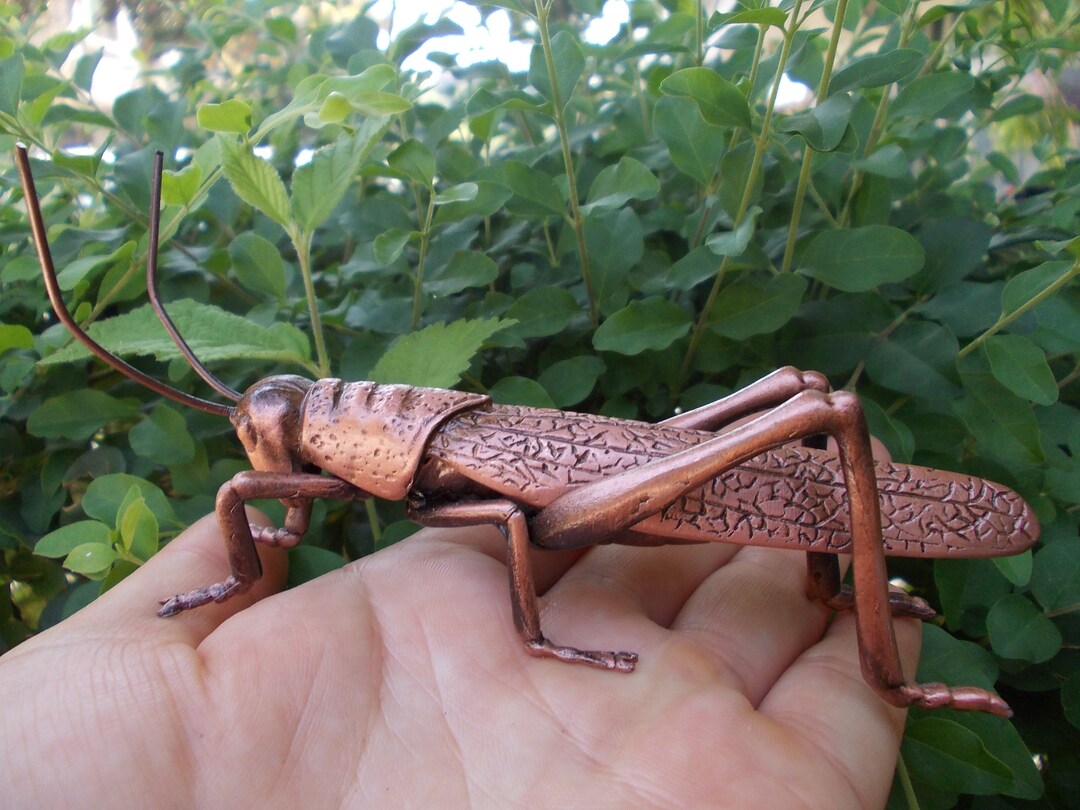 Vtgbrasslover Vtg Vintage Style Copper Lucky Locust Statue Grasshopper ...