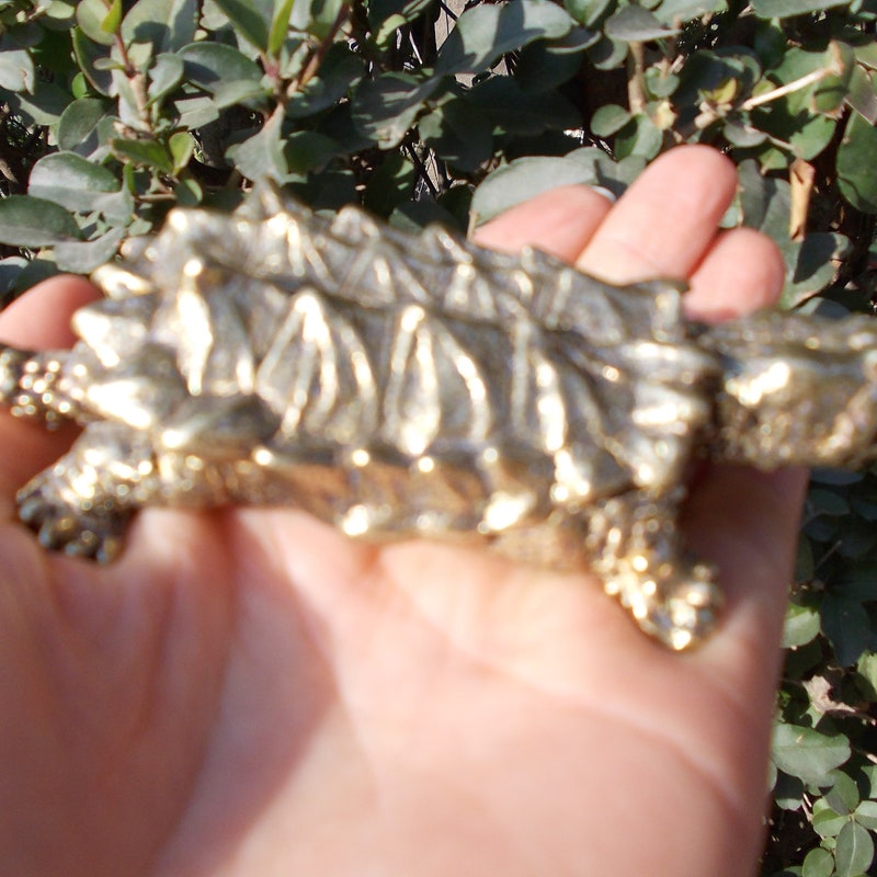 Snapping Turtle - Etsy