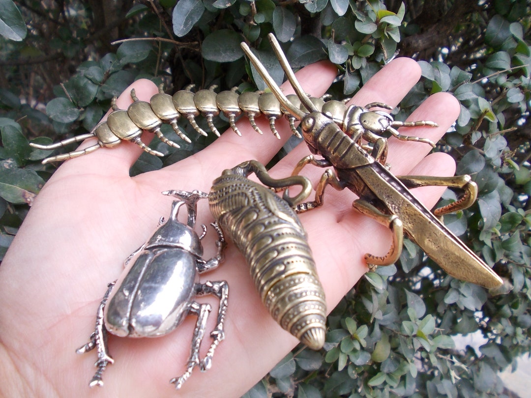 Get 4 Vtgbrasslover Vtg Vintage Style Brass Centipede Locust Cicadate ...