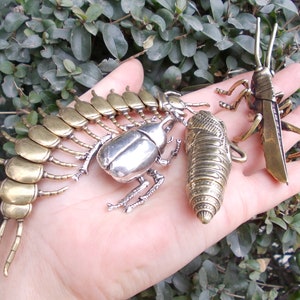 Get 4 Vtgbrasslover Vtg Vintage Style Brass Centipede Locust Cicadate ...