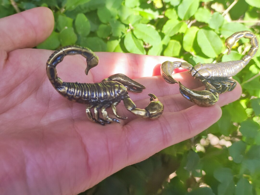 Miniature Bronze Scorpion Figurine Model Ornament Retro Sea Animal ...