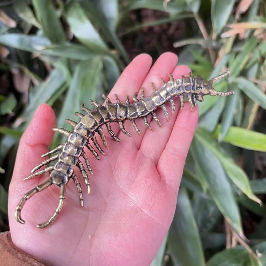 Antique Brass Centipede Dragon King Figurine Vintage Curio Collectible ...