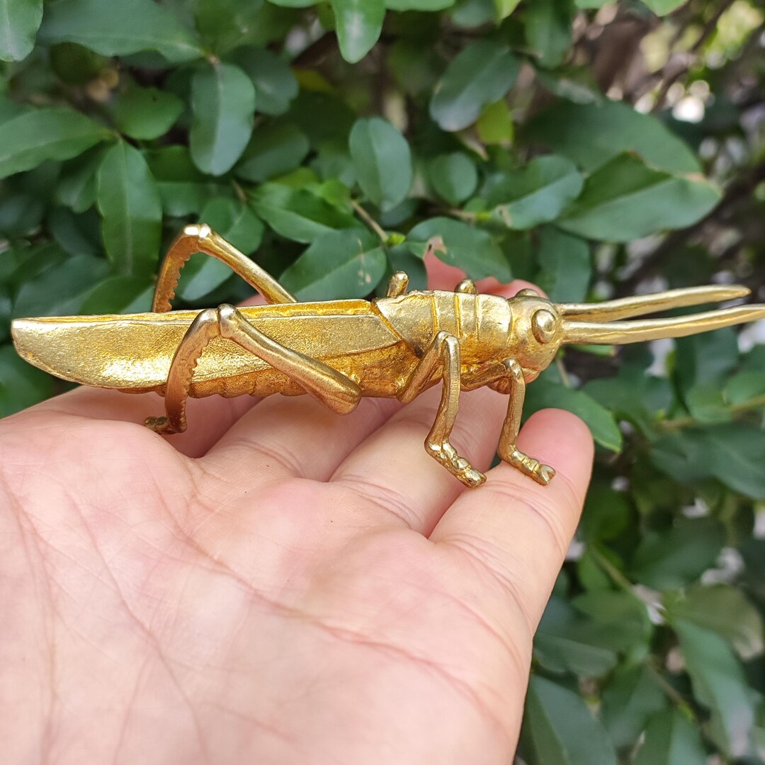 Get 1 Vtg Vintage Style Brass Golden Lucky Locust Statue Locust Fortune ...