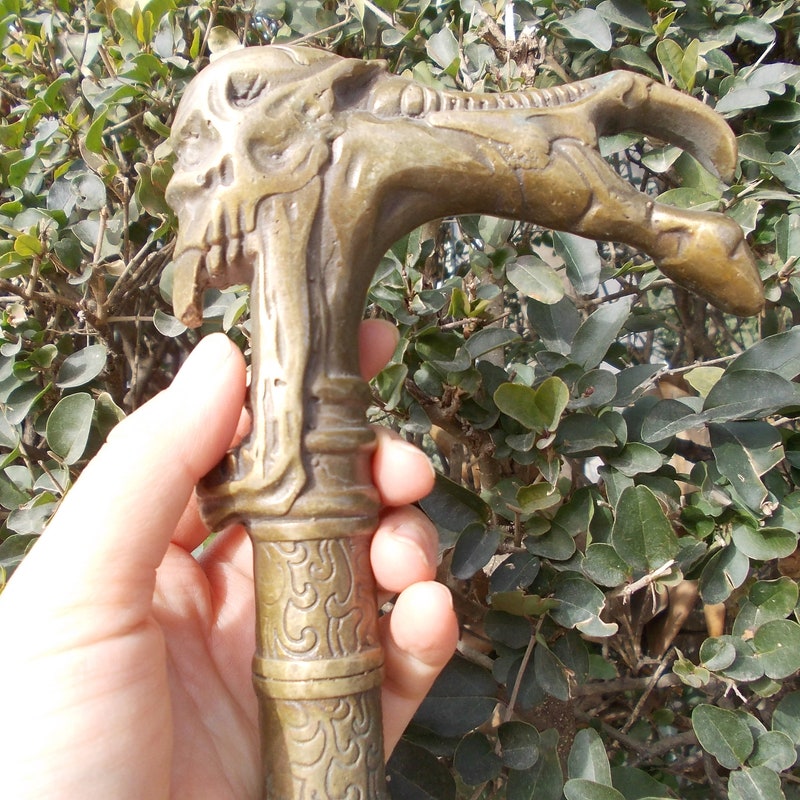 Skull Cane - Etsy