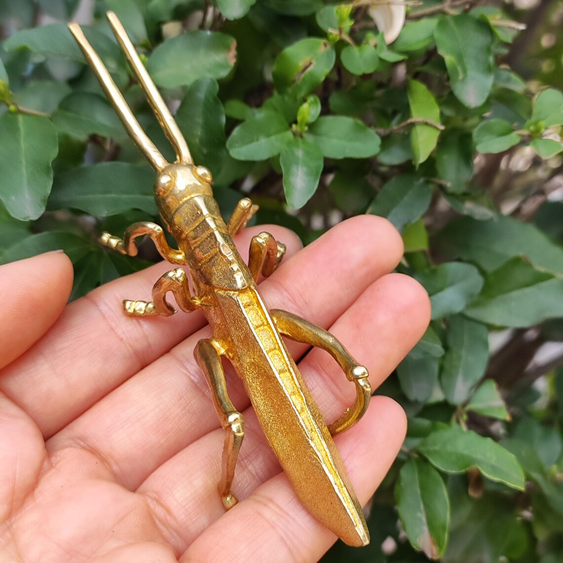 Get 1 Vtg Vintage Style Brass Golden Lucky Locust Statue Locust Fortune ...
