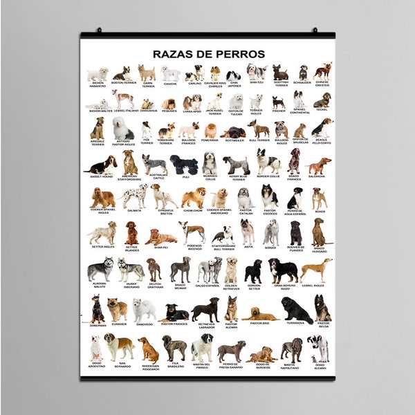 Dog Breeds Poster - Etsy