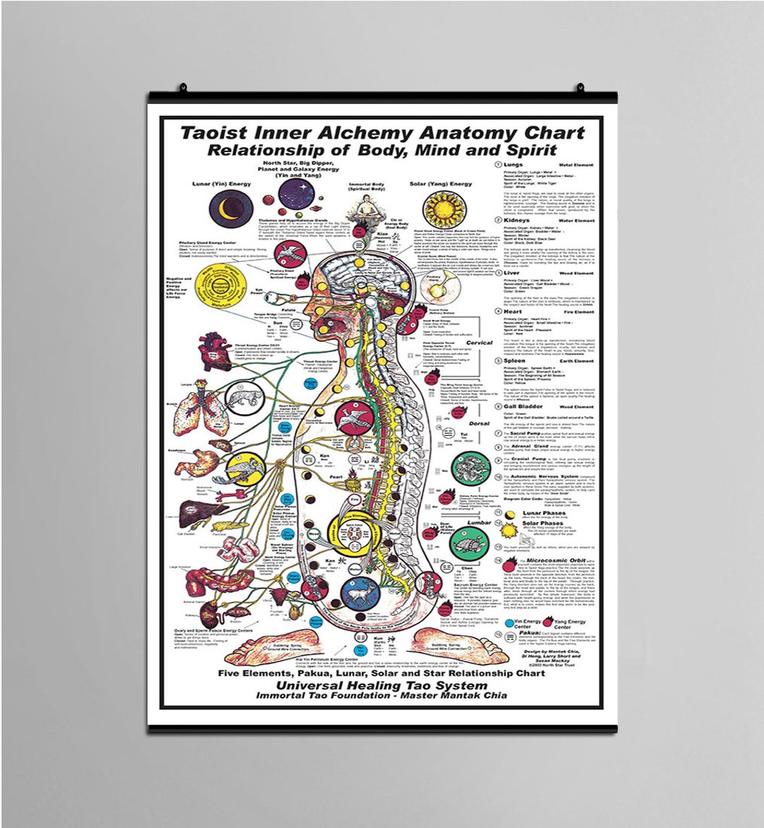Taoist Inner Alchemy Anatomy Chart Oil Canvas Print Painting - Etsy