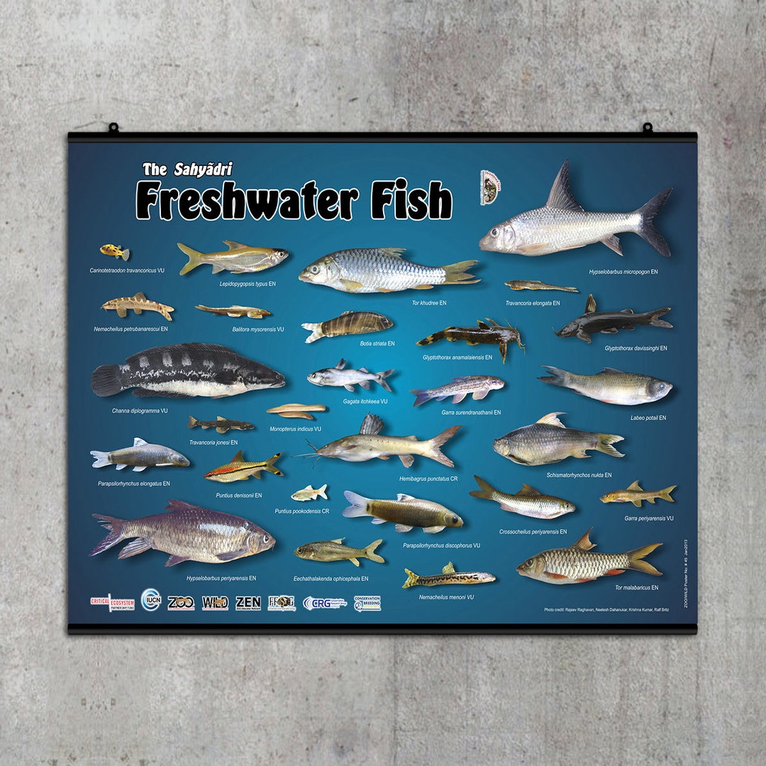 Fisch Poster Landschaft Öl Leinwand Gemälde Wand Kunst Poster - Etsy.de