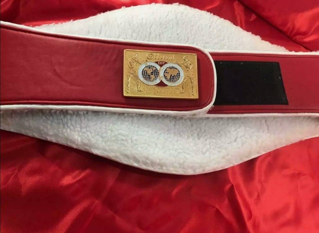 IBF INTERCONTINENTAL BOXING Federation Championship Title Belt - Etsy