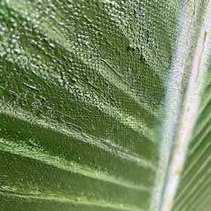 Large Green Leaf Painting Green Abstract Painting Leaf Oil Painting on ...