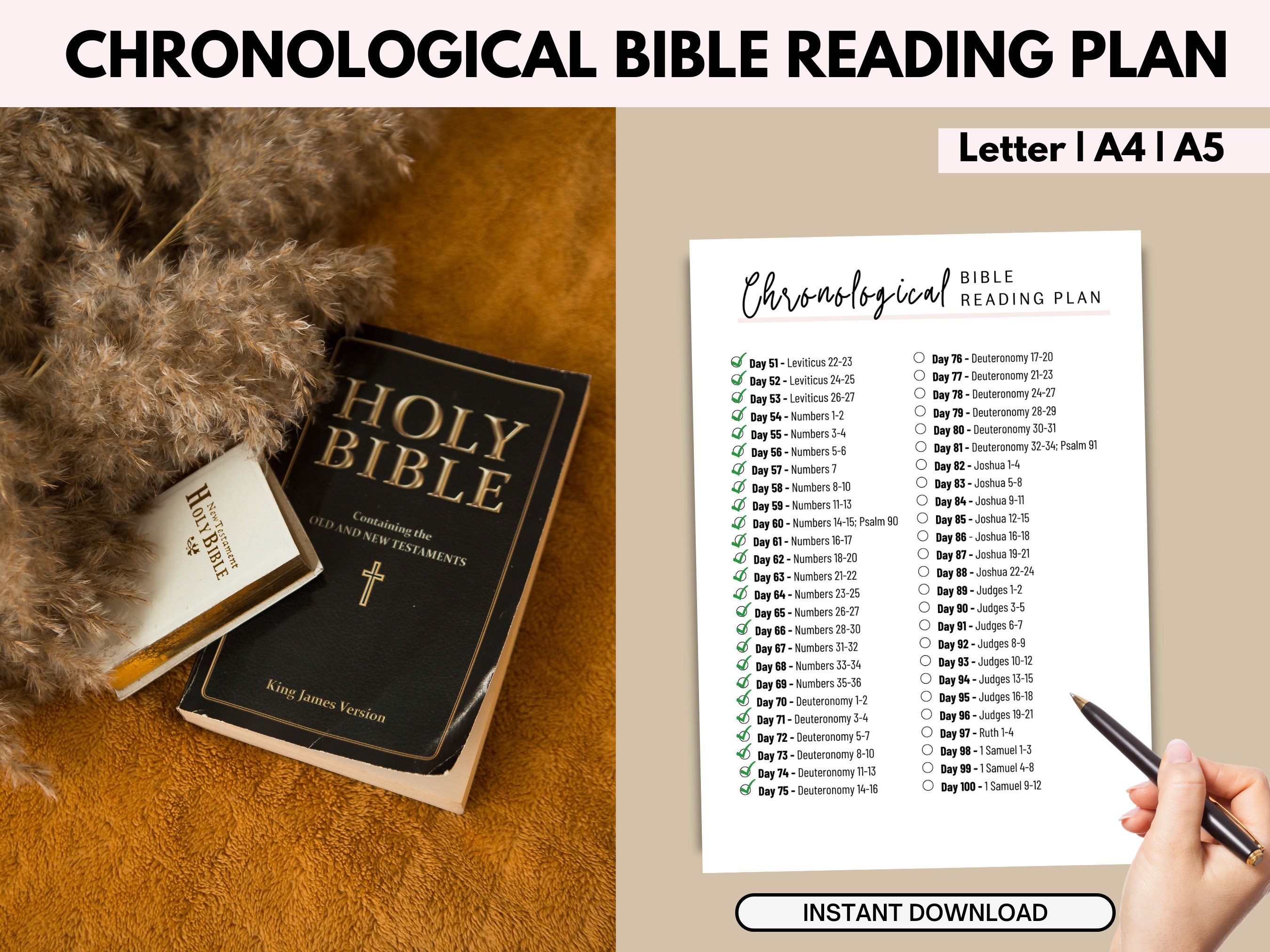 Bible Reading Plan | Bible Reading Goals | New Testament | 365 Days ...