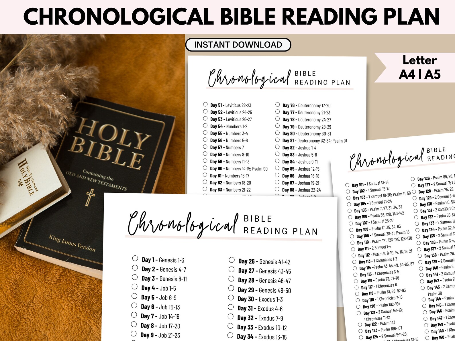 Bible Reading Plan | Bible Reading Goals | New Testament | 365 Days ...