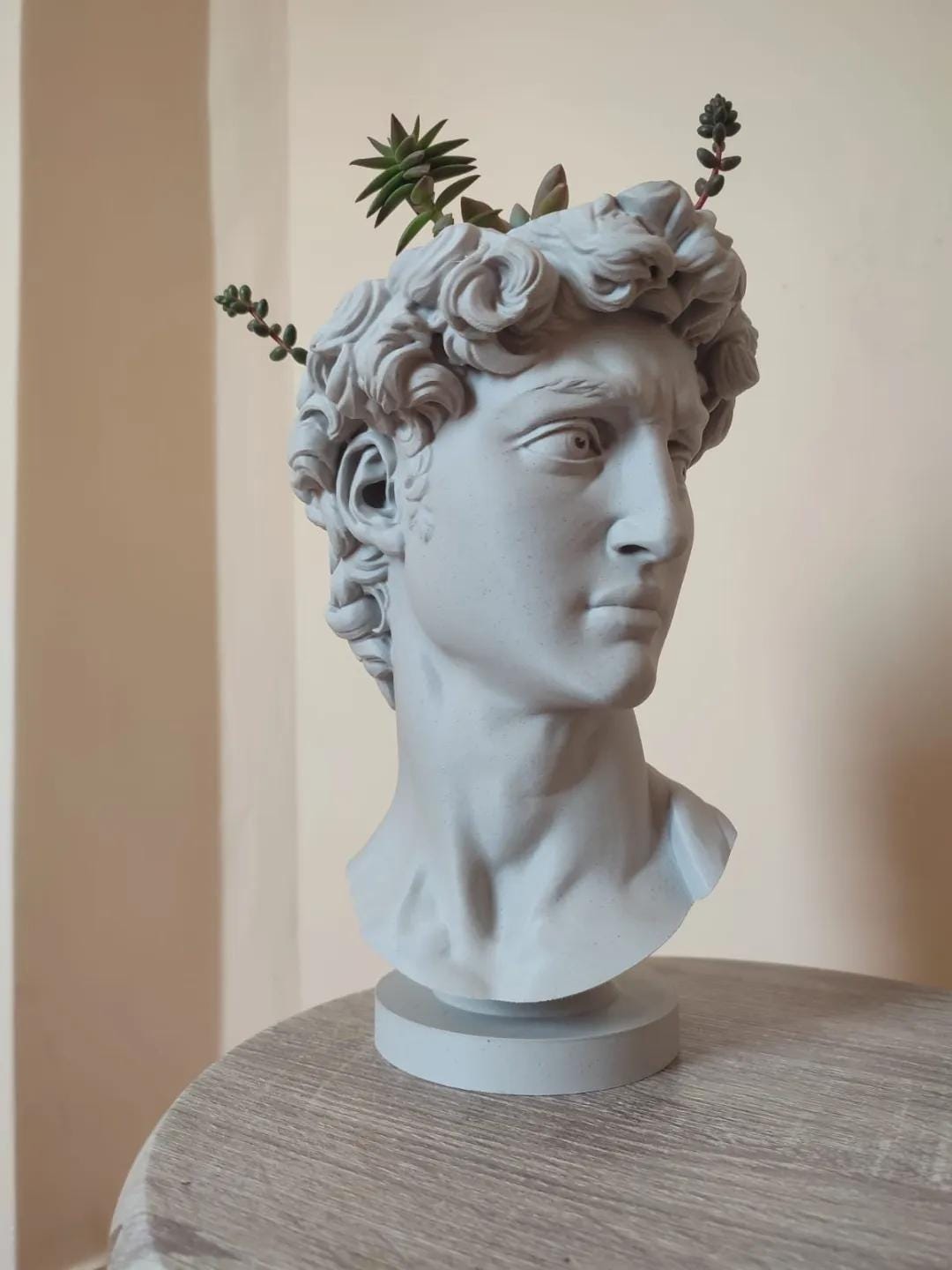 Modern David Head Planter - Unique Garden Decor Gift - Etsy