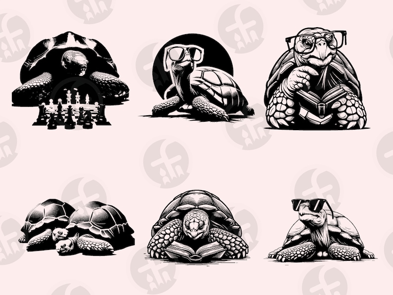 Galapagos Tortoise SVG Bundle: Funny Animal Designs (digital Download ...